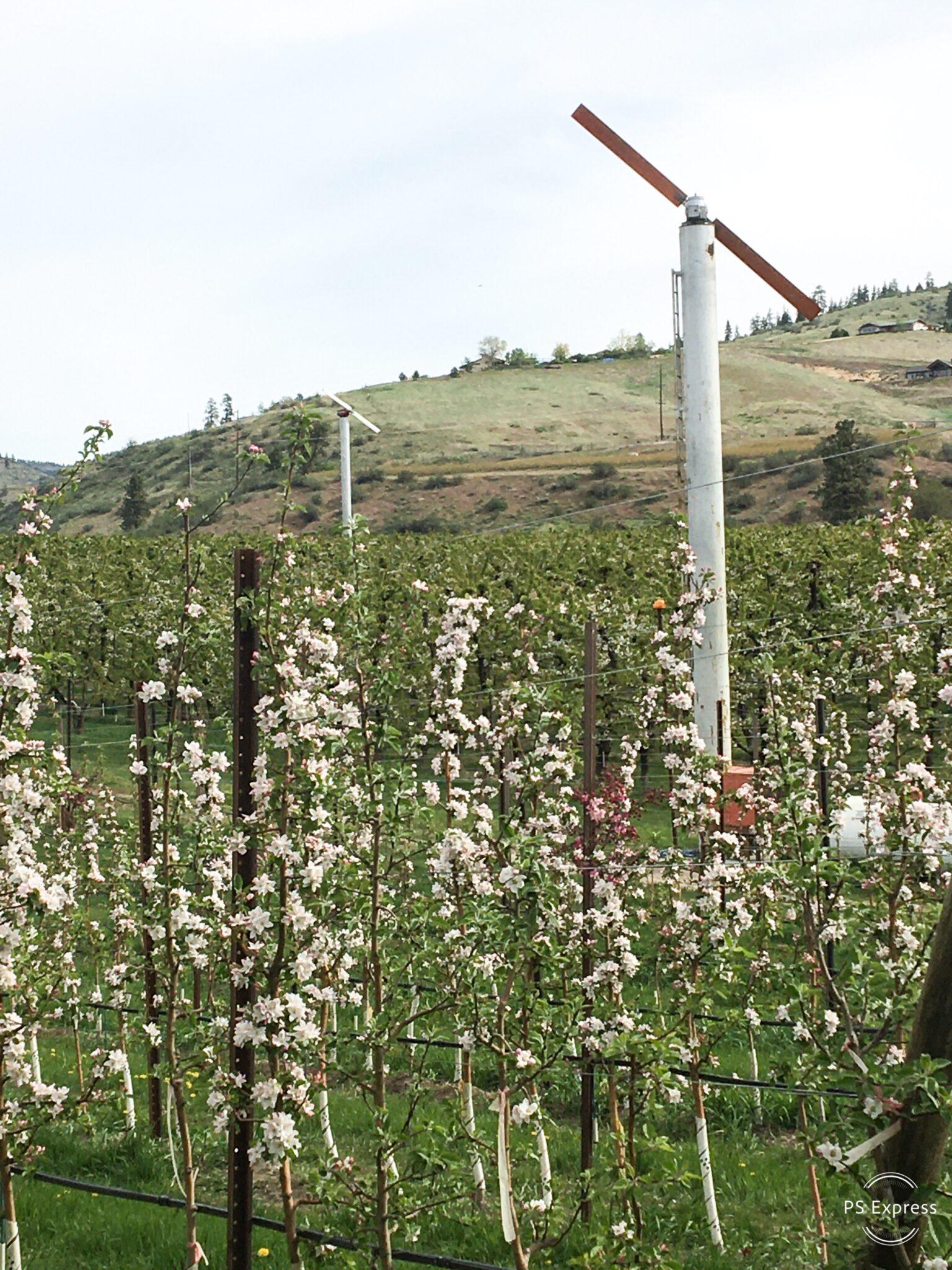 How Orchard Wind Machines Protect Apple and Cherry Blooms from Spring ...